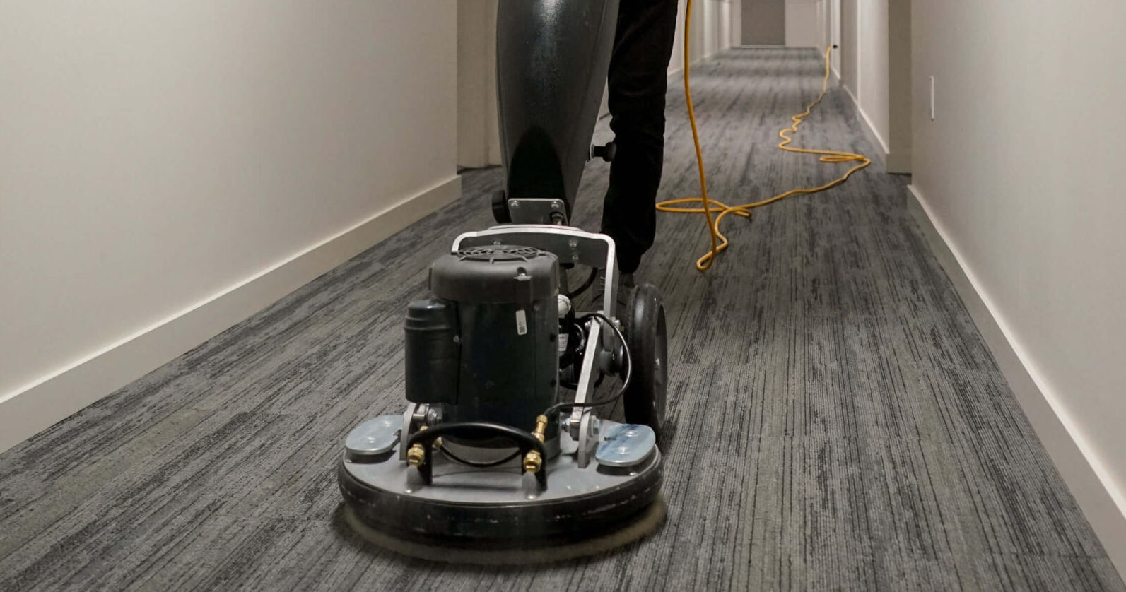 9-Step Carpet Cleaning Process | Good Sorts